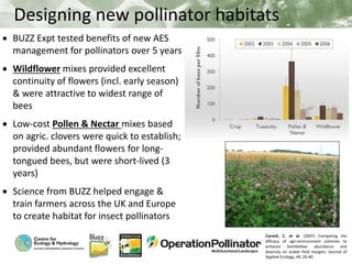 Habitat Creation and Management for Pollinators: the Science Behind the ...