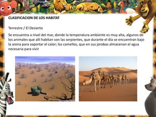 Habitat de los animales | PPTX