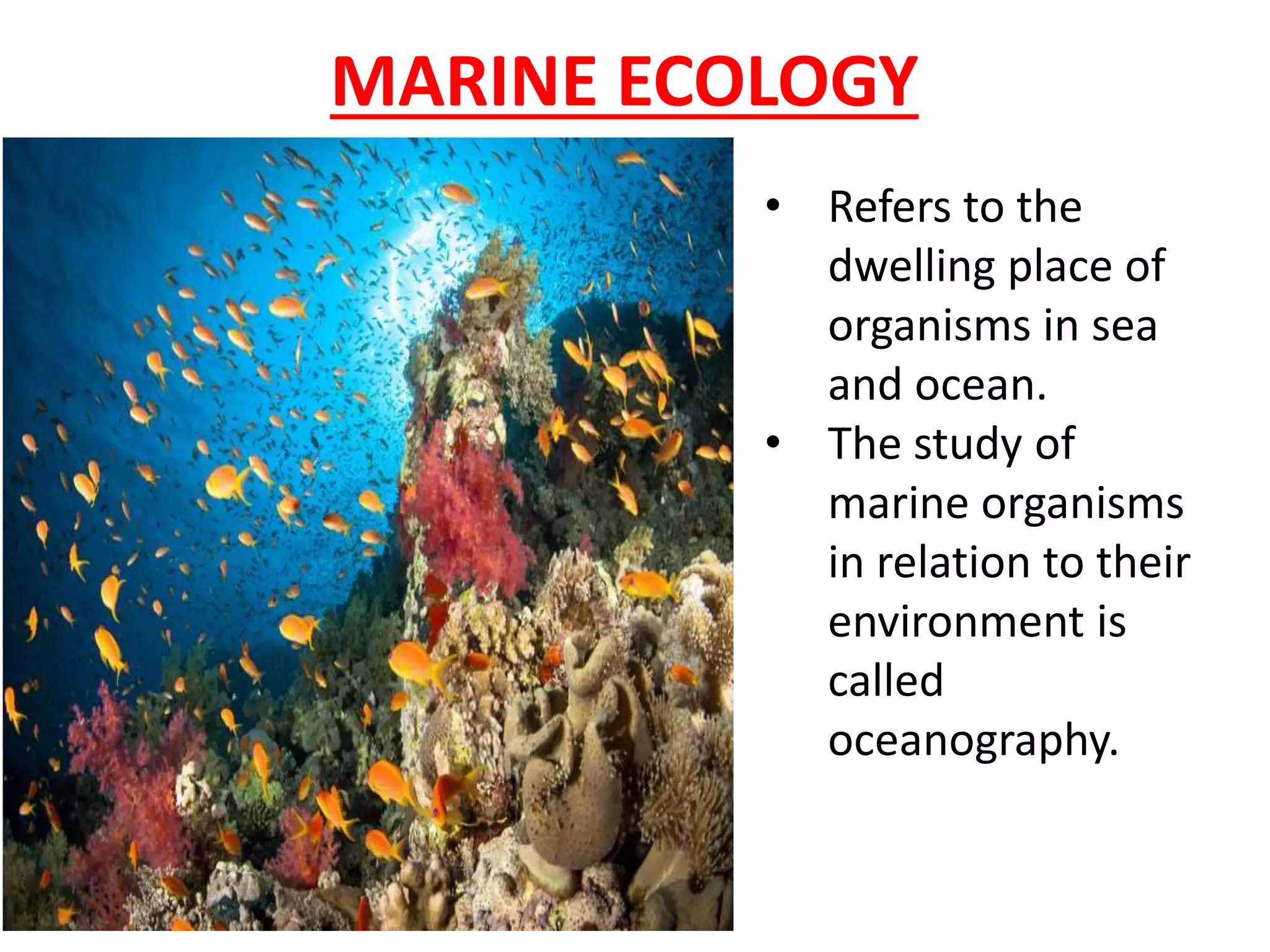 Habitat ecology | PPTX