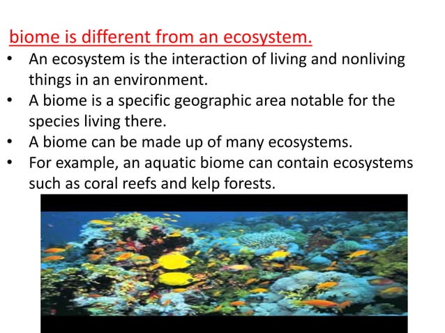 Habitat ecology | PPTX | Geography | Science