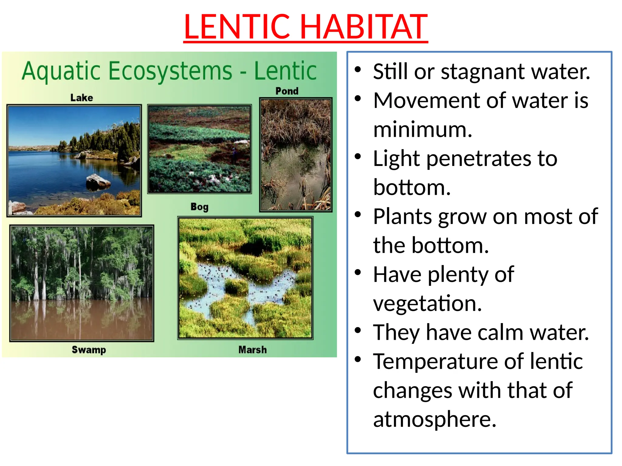 ecology habitat zoology foe bsc students 2024.pptx
