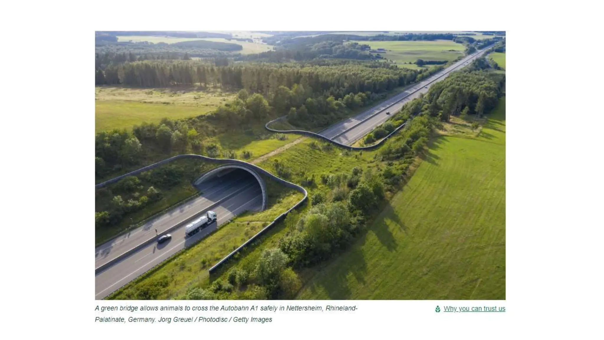 Habitat fragmentation, habitat loss.pptx