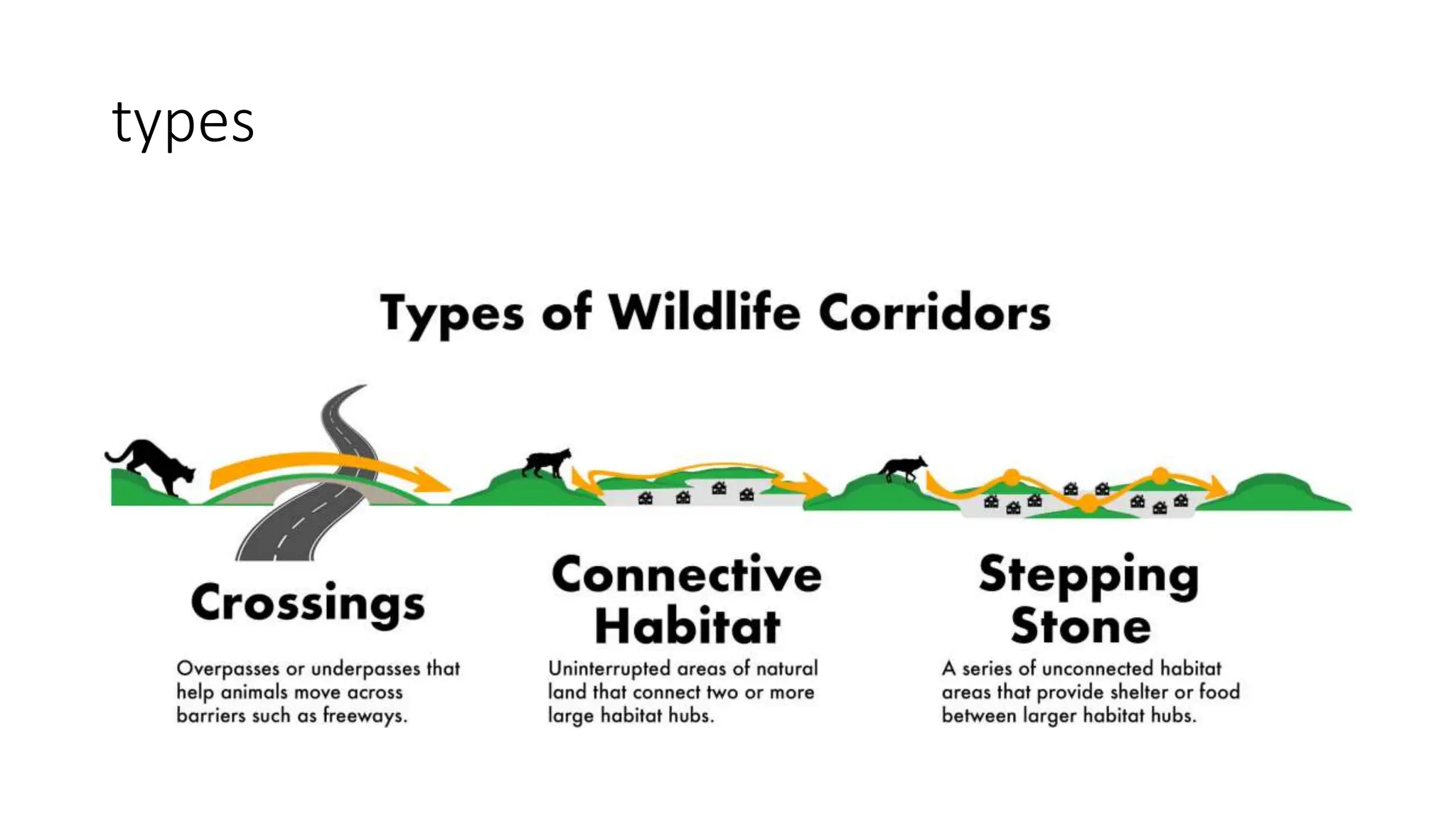 Habitat fragmentation, habitat loss.pptx | Environment | Science