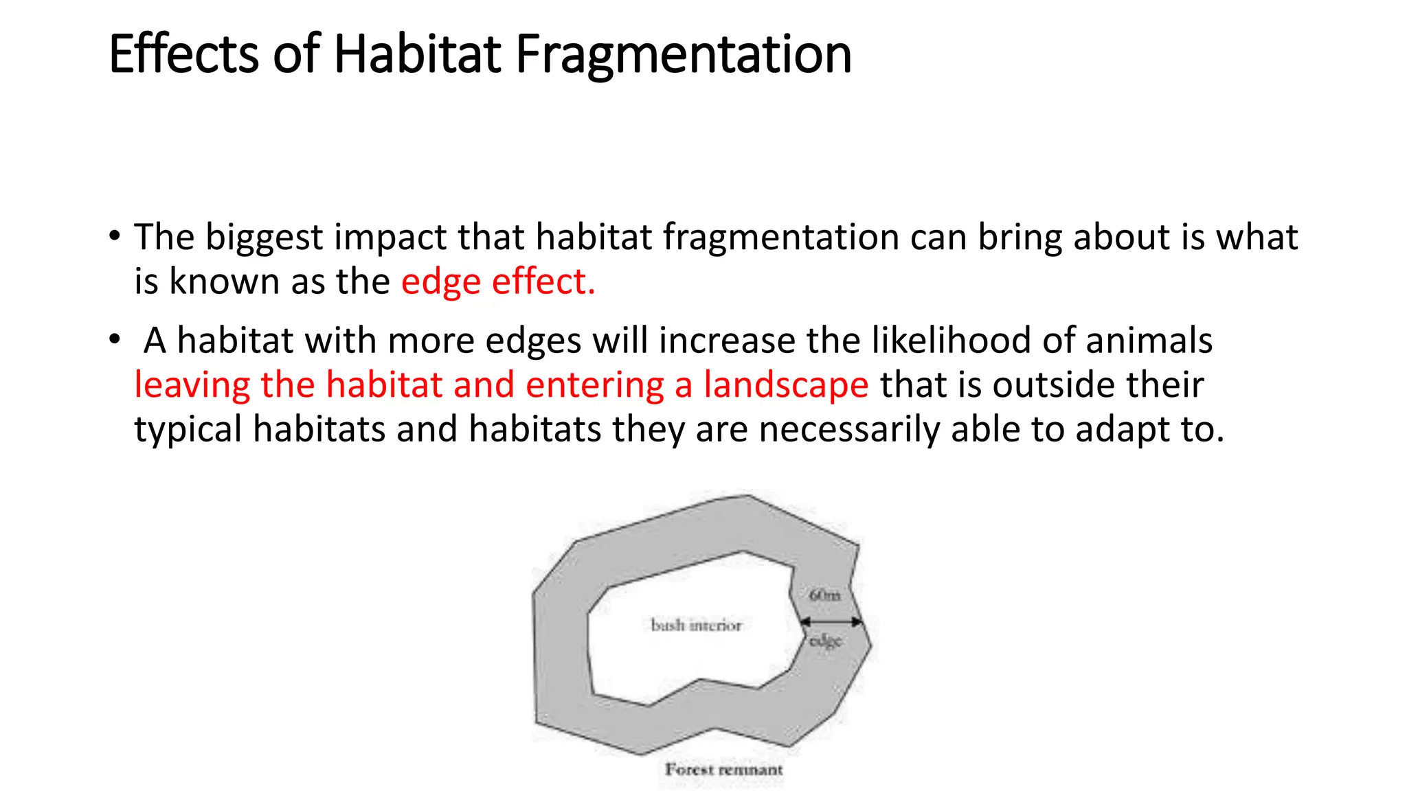 Habitat fragmentation, habitat loss.pptx | Environment | Science