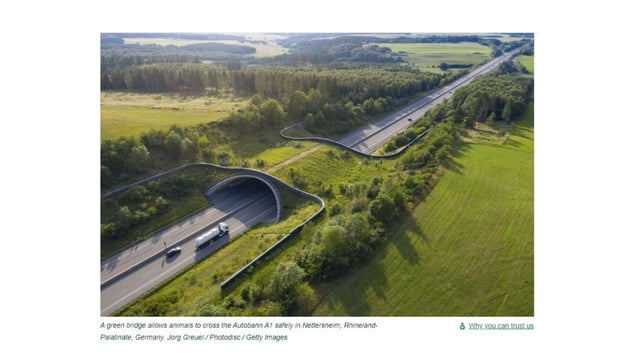 Habitat fragmentation, habitat loss.pptx | Environment | Science