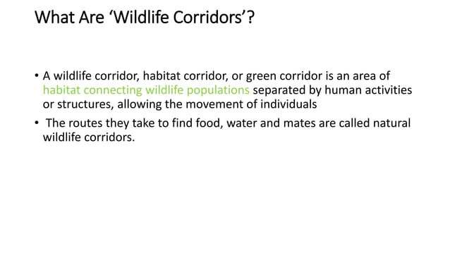 Habitat fragmentation, habitat loss.pptx | Environment | Science