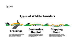 Habitat fragmentation, habitat loss.pptx | Environment | Science