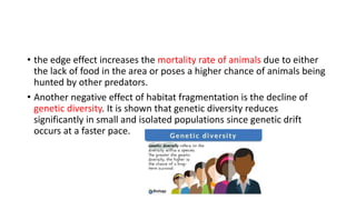 Habitat fragmentation, habitat loss.pptx