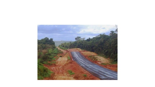 Habitat fragmentation, habitat loss.pptx | Environment | Science