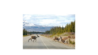 Habitat fragmentation, habitat loss.pptx