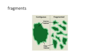 Habitat fragmentation, habitat loss.pptx | Environment | Science