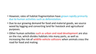 Habitat fragmentation, habitat loss.pptx | Environment | Science