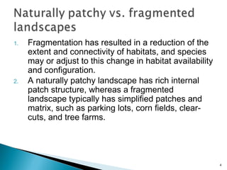 Habitat fragmentation srm | PPT