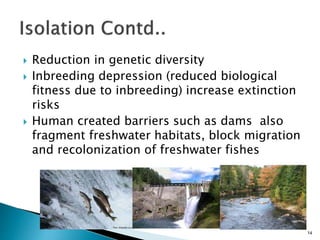 Habitat fragmentation srm | PPTX