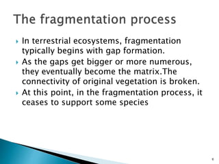 Habitat fragmentation srm | PPTX
