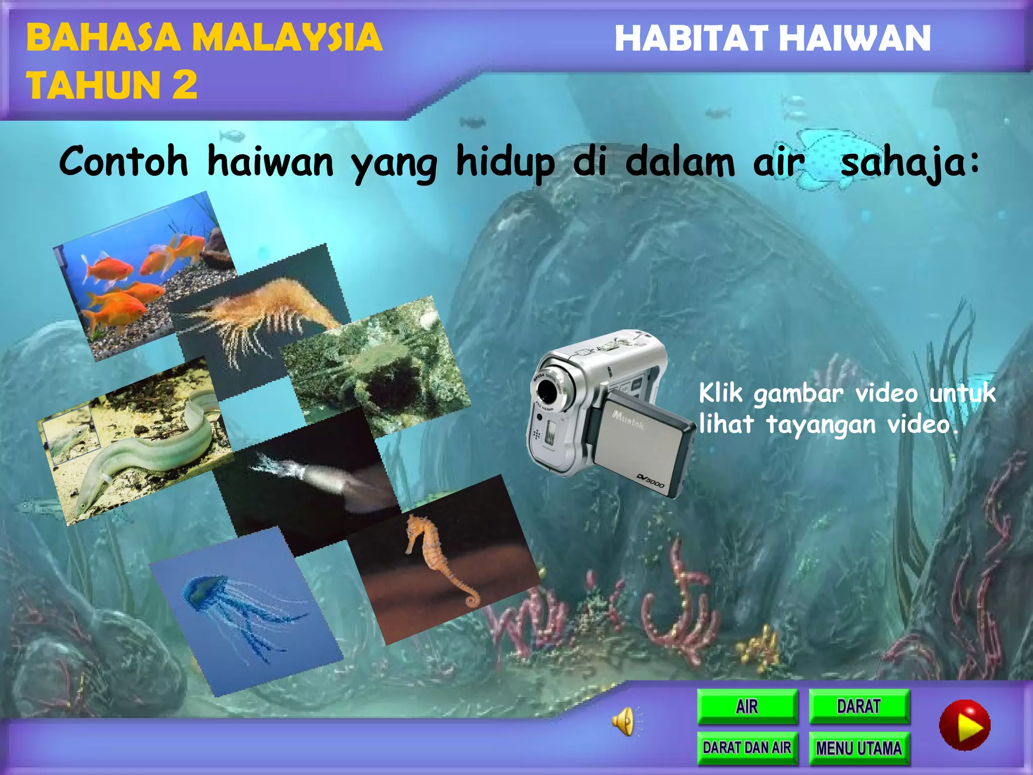 Habitat haiwan | PPT