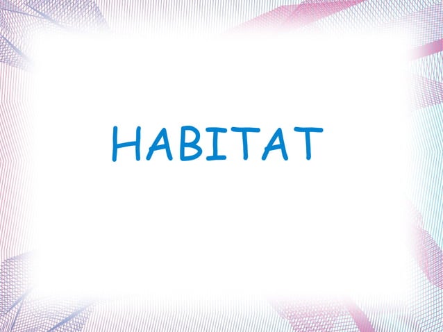 Habitat i ninxol ecologic | ODP