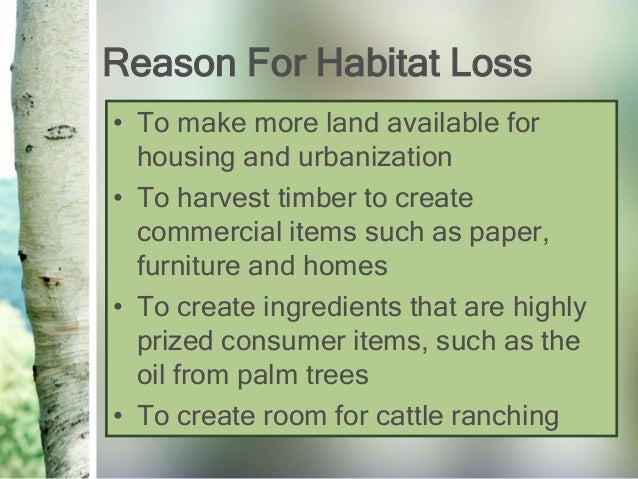 Habitat Loss habitat-loss