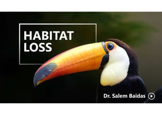 Habitat Loss | PPT