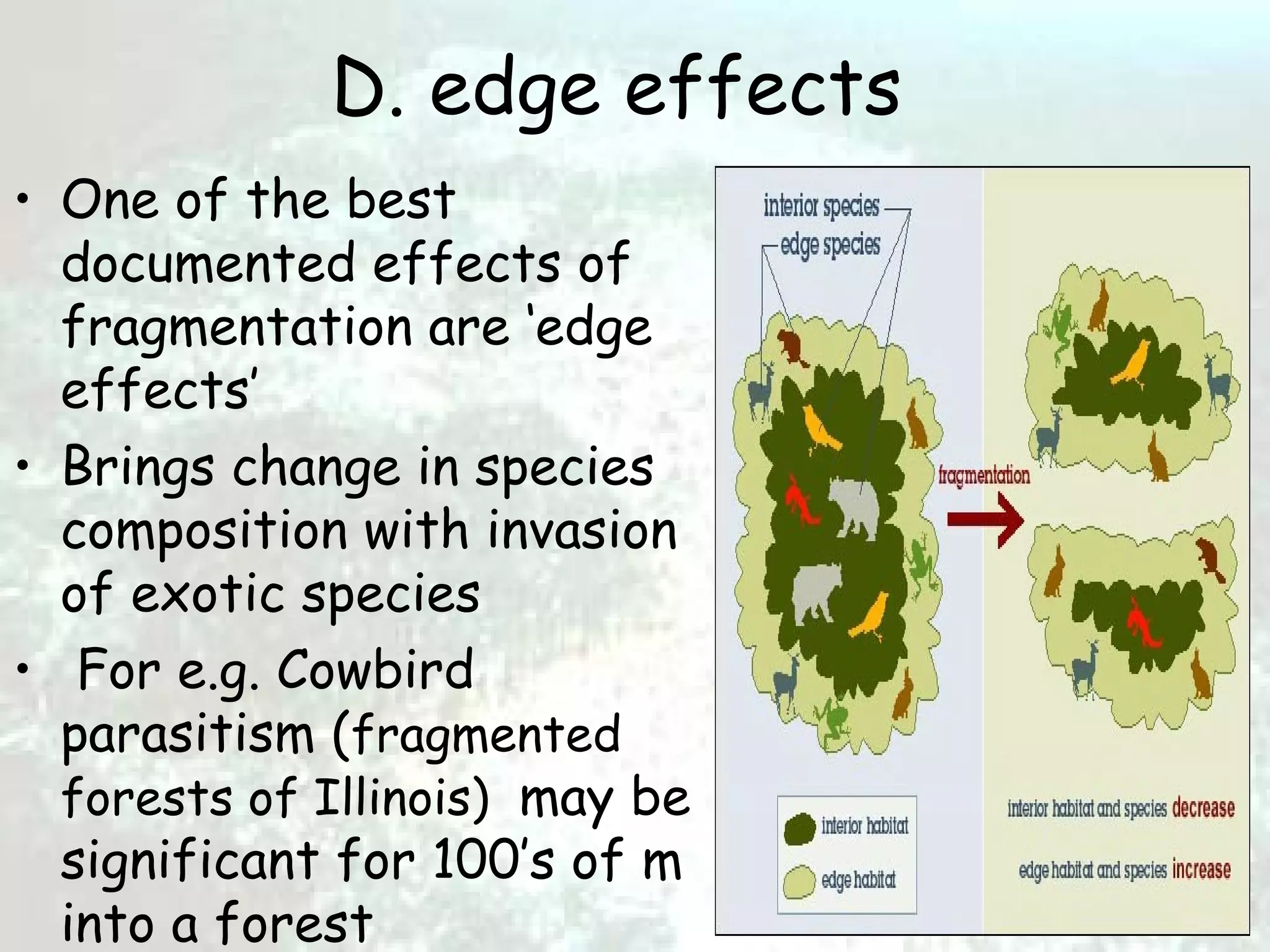 Habitat loss and fragmentation | PPT