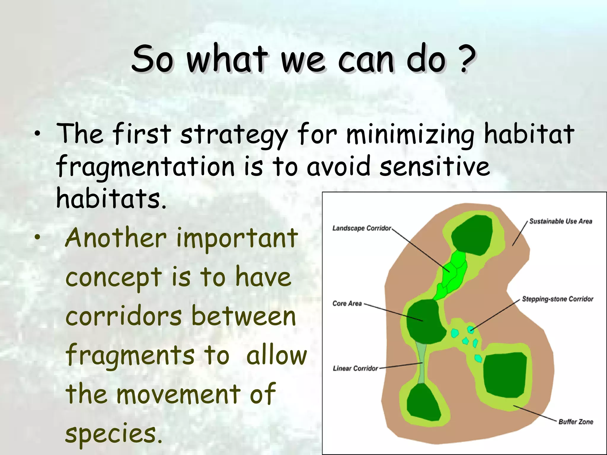 Habitat loss and fragmentation | PPT