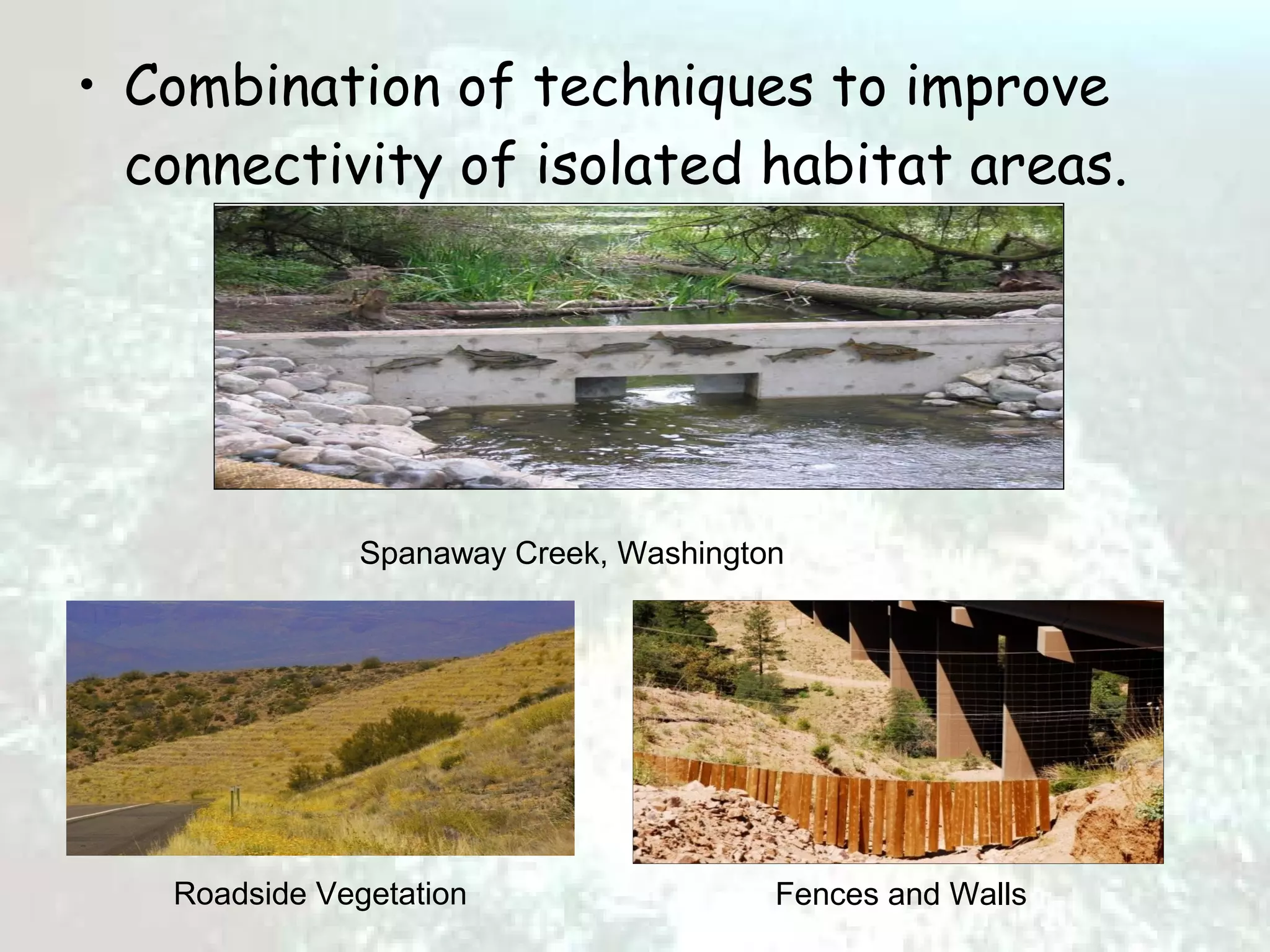 Habitat loss and fragmentation | PPT