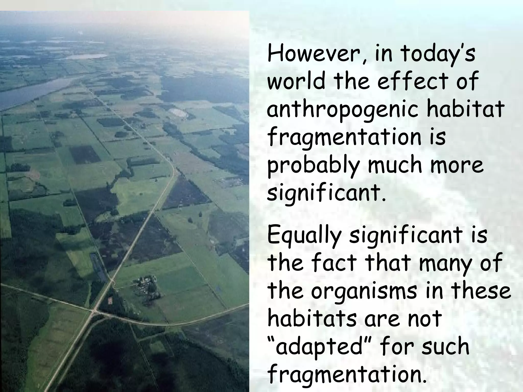 Habitat loss and fragmentation | PPT