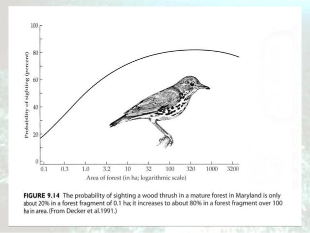 Habitat loss and fragmentation Habitat loss and fragmentation