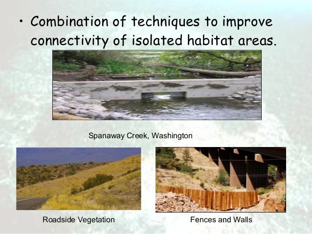 Habitat loss and fragmentation Habitat loss and fragmentation