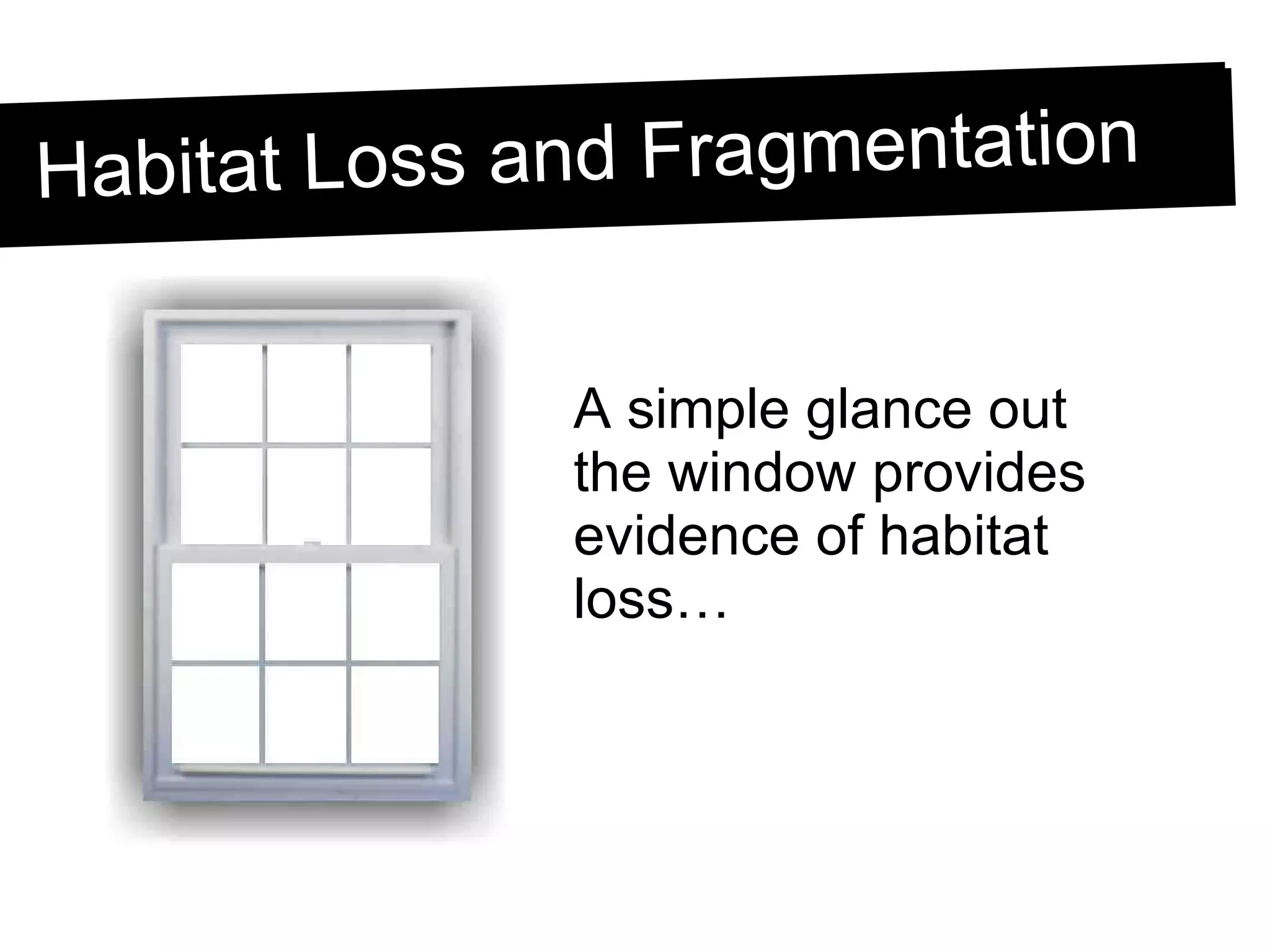Habitat Loss and Fragmentation | PPT