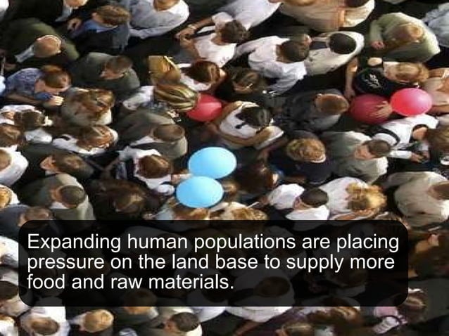 Habitat Loss and Fragmentation | PPT | Geography | Science