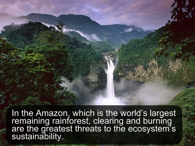 Habitat Loss and Fragmentation | PPT | Geography | Science