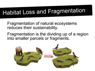 Habitat Loss and Fragmentation | PPT