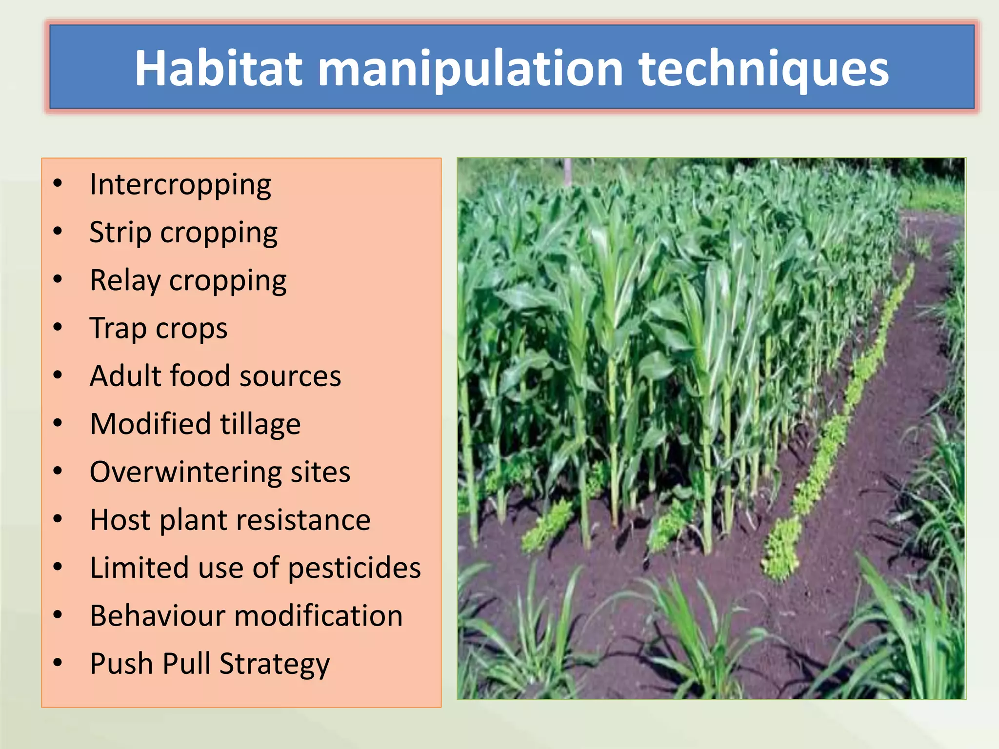 Habitat manipulation in INSECT PEST MANAGEMENT.pptx