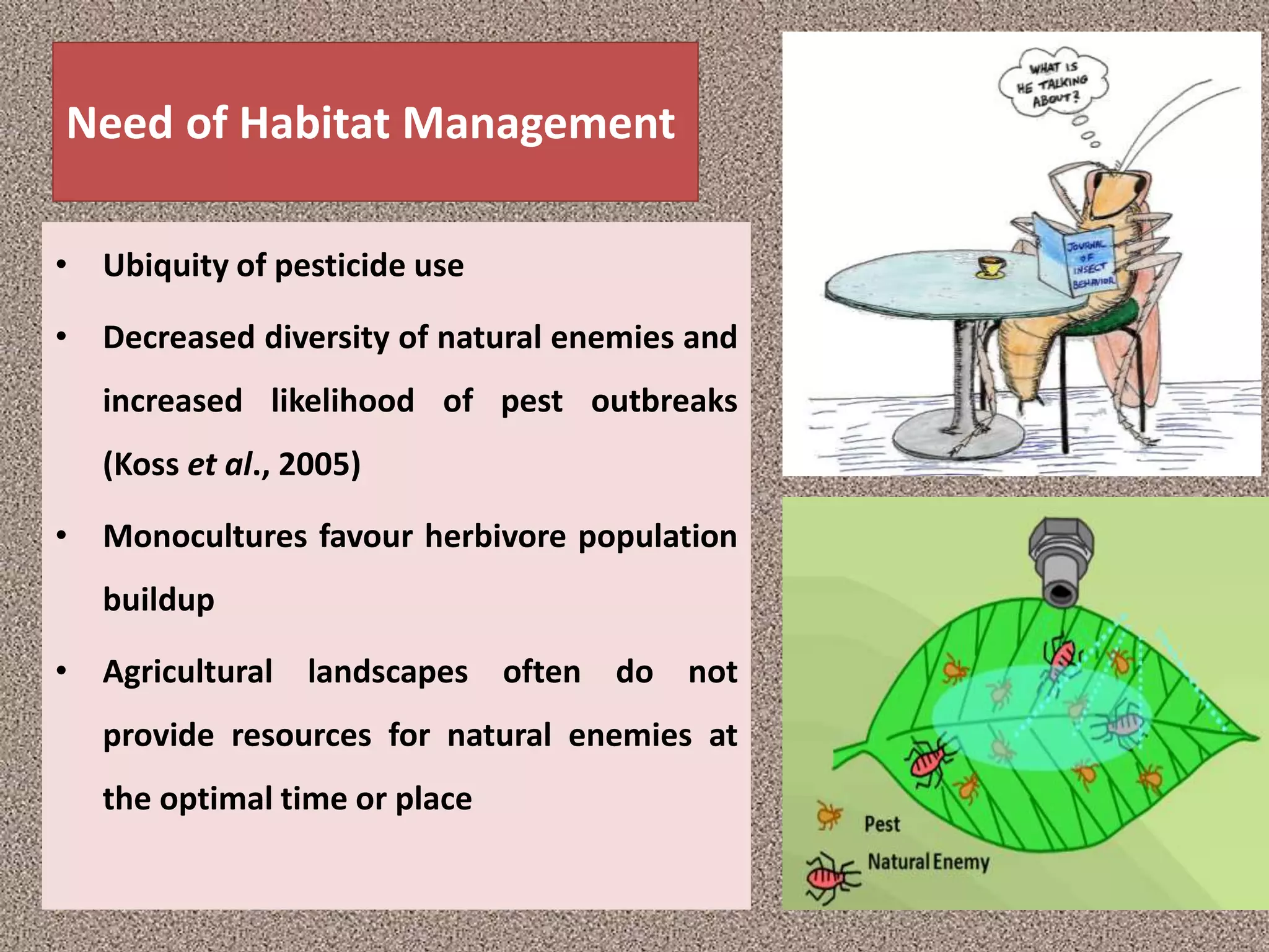 Habitat manipulation in INSECT PEST MANAGEMENT.pptx