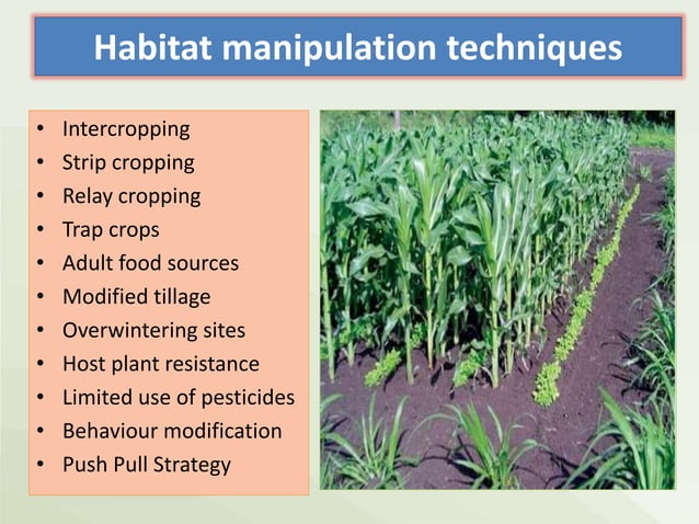 Habitat manipulation in INSECT PEST MANAGEMENT.pptx