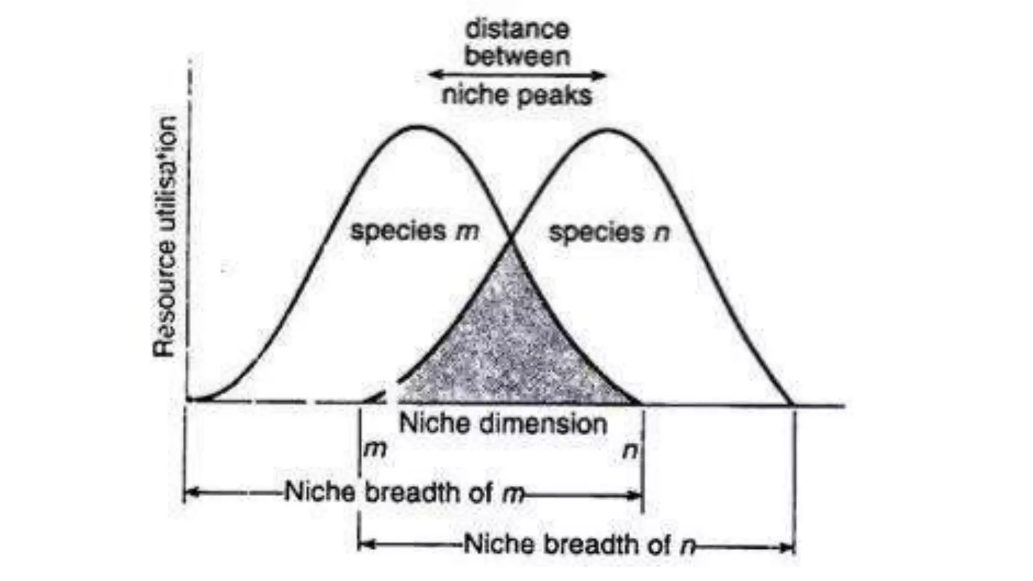 Habitat & niche | PPTX