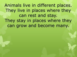 Habitat of the Animals | PPTX