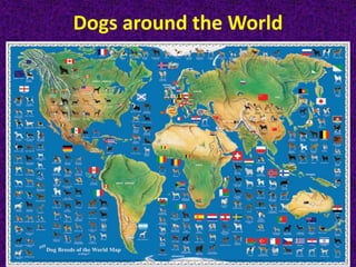 What Is The Habitat Of A Dog