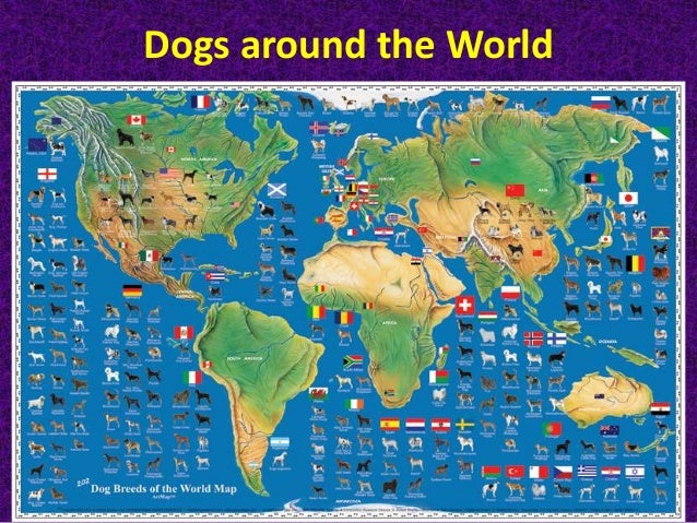 Habitat of the dog family