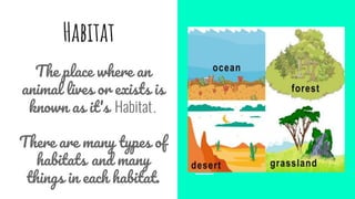 Habitat of the living | PPTX