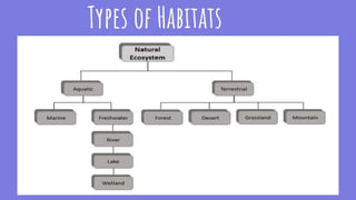 Habitat of the living | PPTX