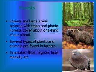 Habitat of the living midhesh | PPTX