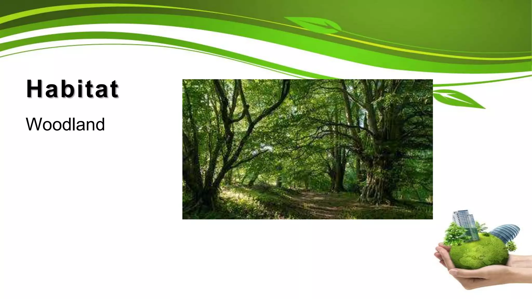 Habitat presentation | PPTX