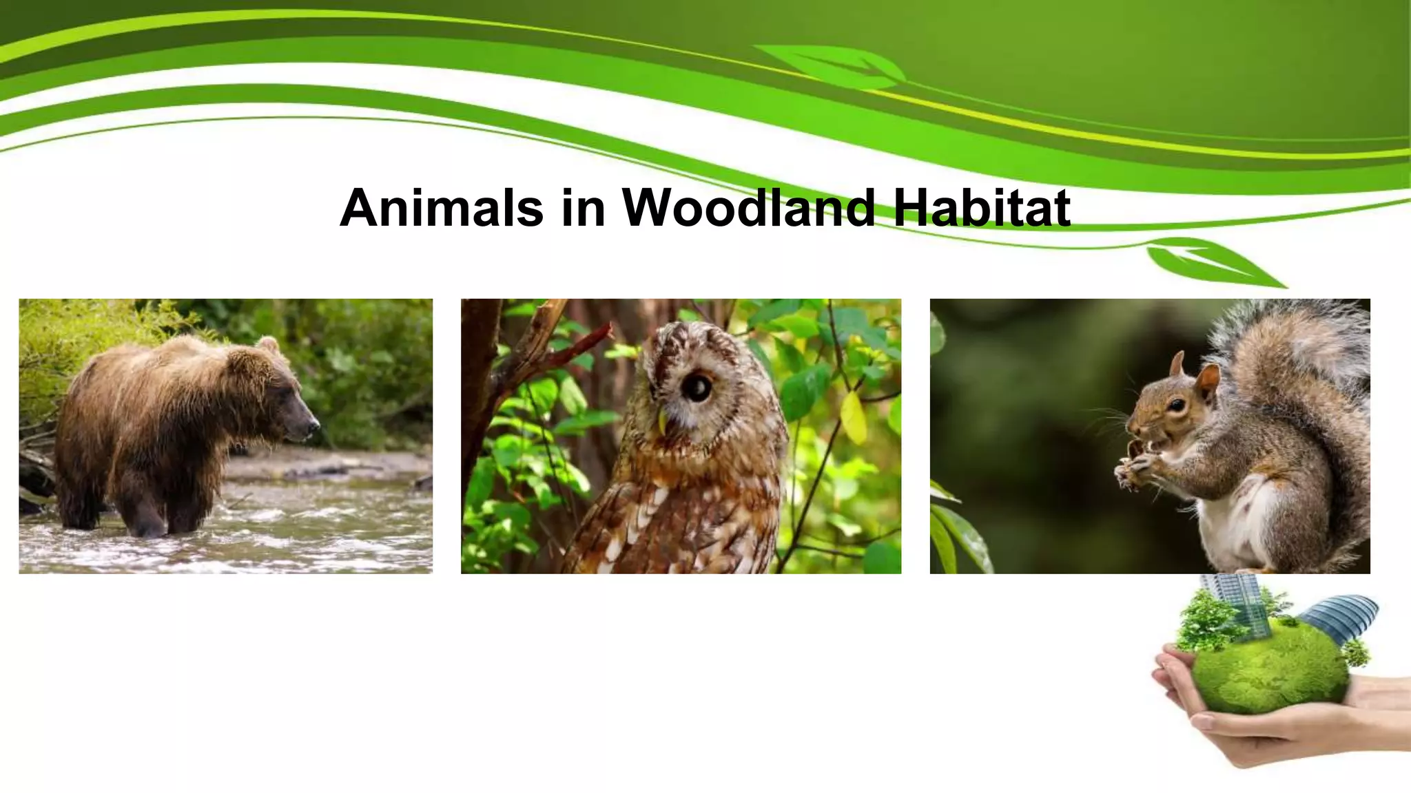 Habitat presentation | PPTX