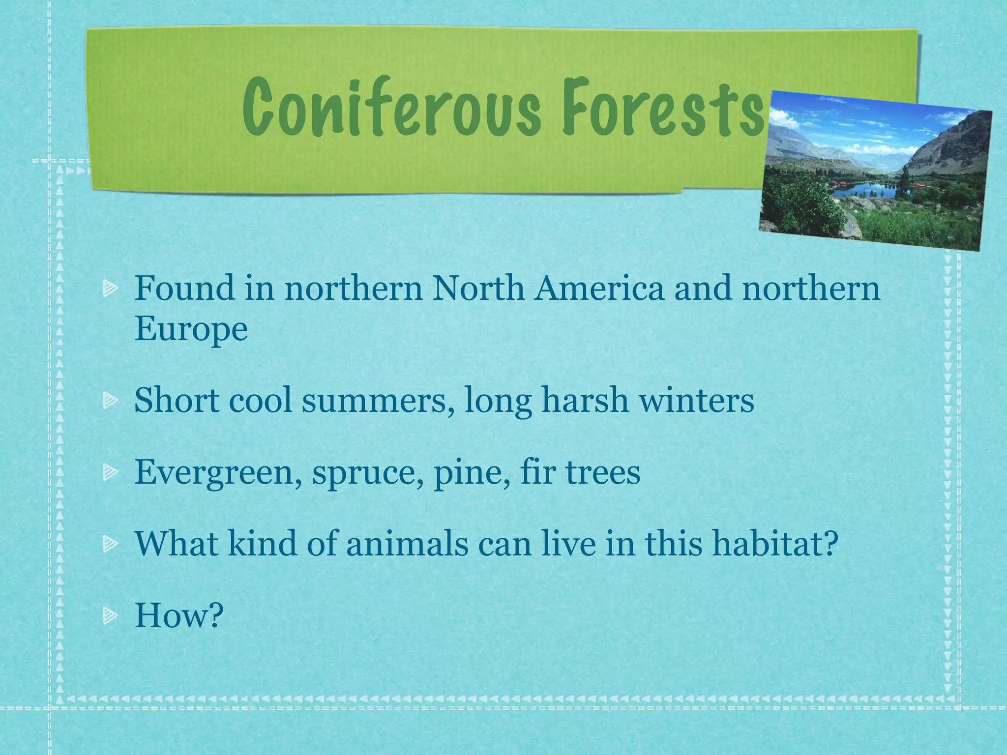 Animals and their Habitats | KEY