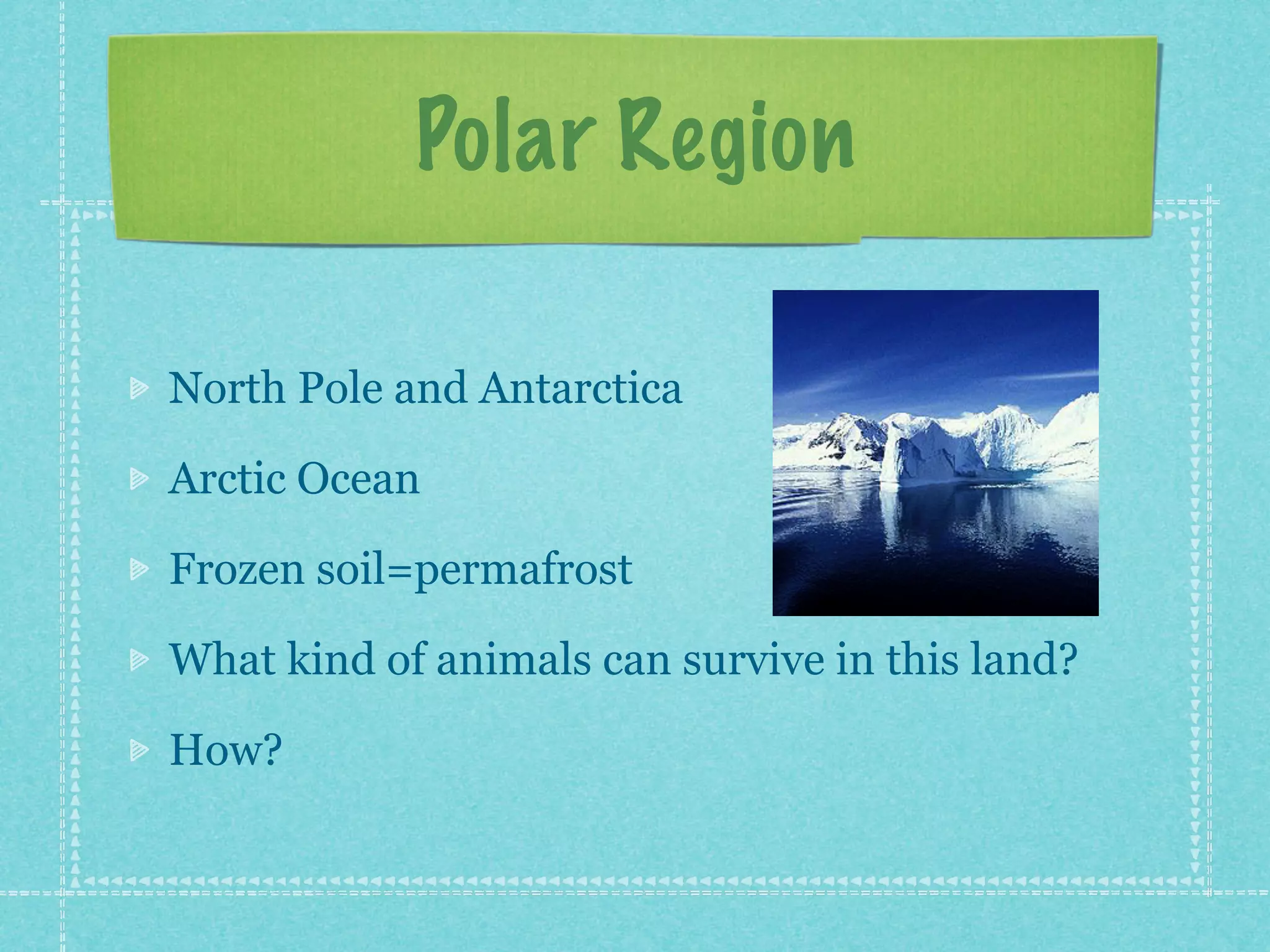 Animals and their Habitats | KEY