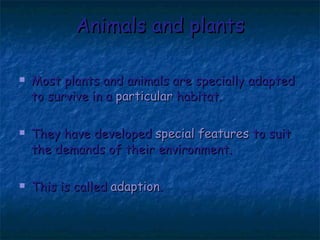 Habitats | PPT