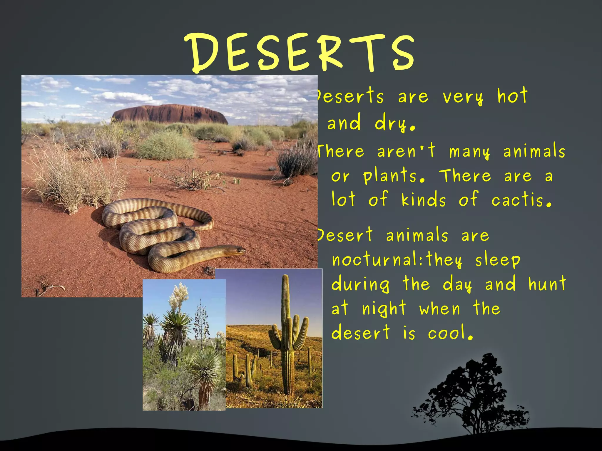 Animals Habitats | ODP