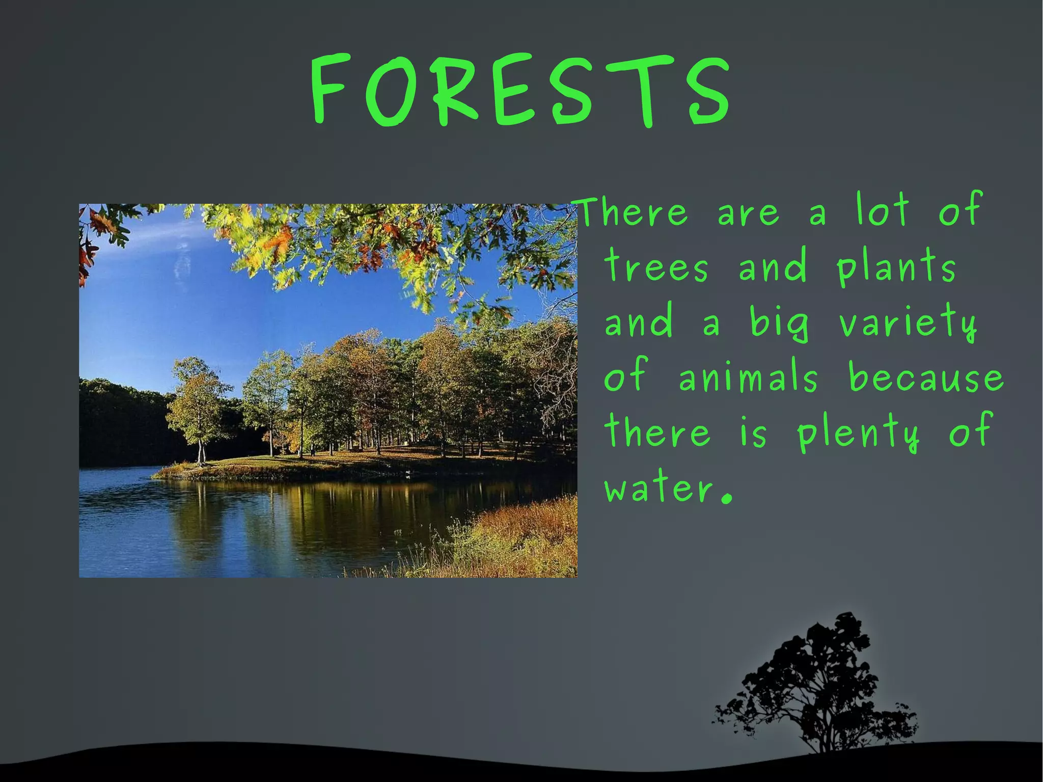 Animals Habitats | ODP